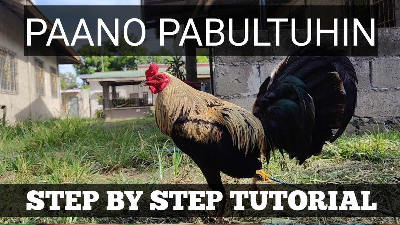 Step by Step Tutorial | Paano Pabultuhin ang Katawan Nang Manok ...