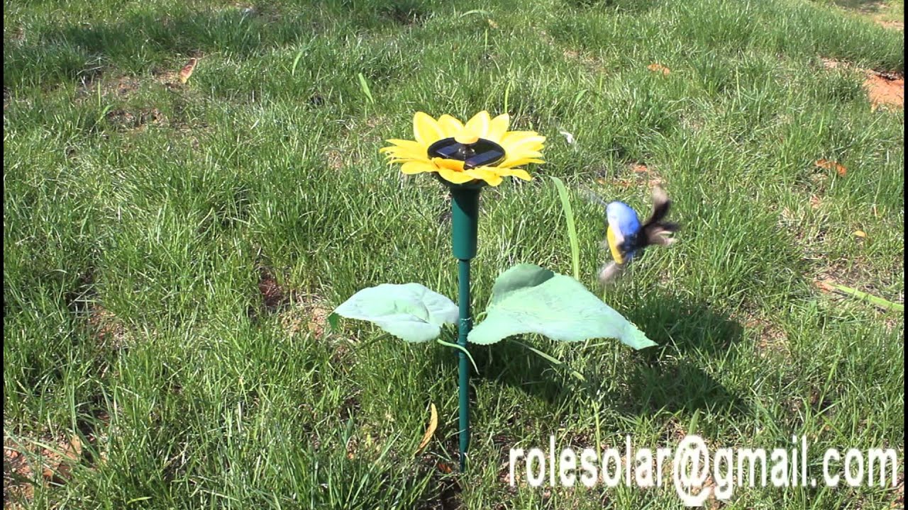 Sun flower solar fluttering flying humming bird garden stake gift - YouTube