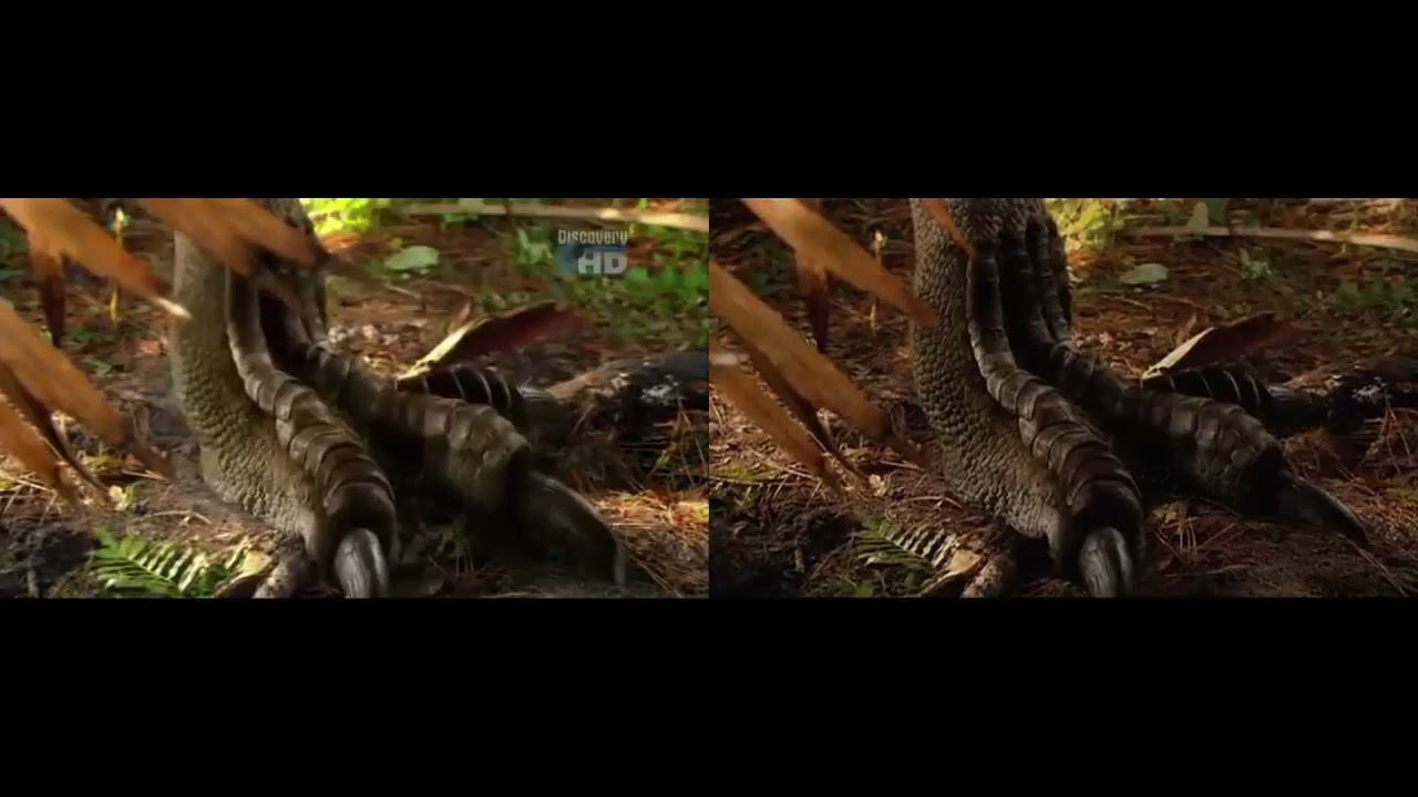 when dinosaurs roamed america and valley of the t. rex comparison - YouTube