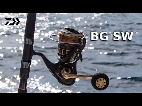 23 BG SW || JIGGING & CASTING || DAIWA