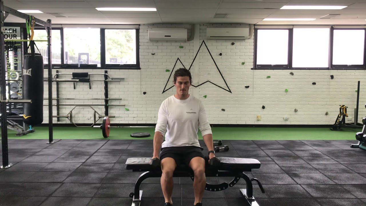 Plyometrics Bench Jumps - YouTube
