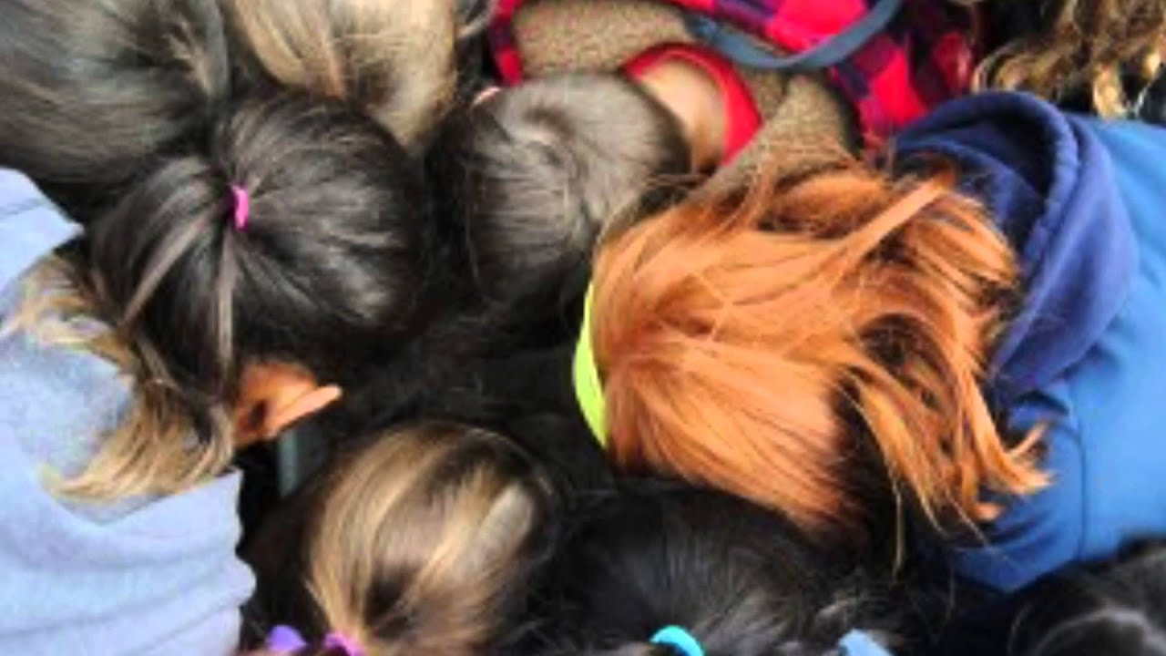 The spooky town of shadow lane - trailer - YouTube