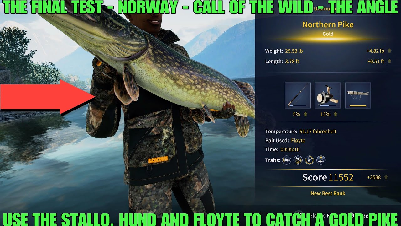 The Final Test - Use The Stallo, Hund And Floyte To Catch A Gold Pike ...