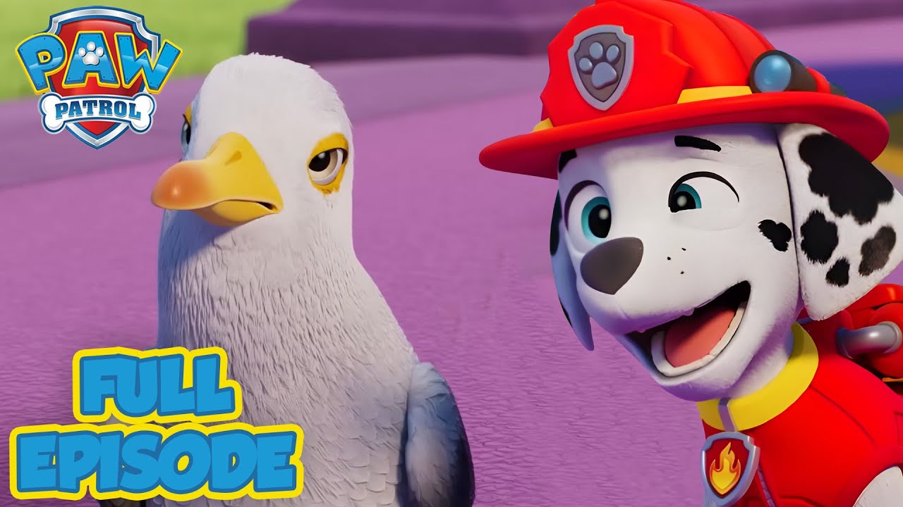 FULL EPISODE! Pups Solve a Snap n' Wrap | PAW Patrol Season 13 ...