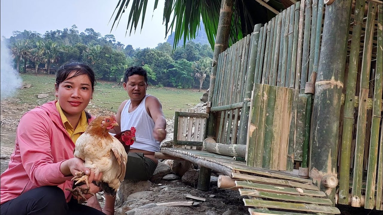 How to build chicken coop from bamboo - Building farm, green forest ...