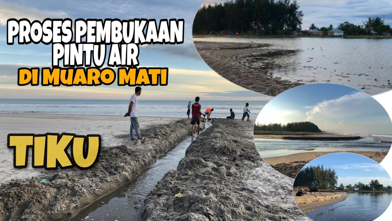 Vlog | Proses Pembukaan Pintu Air di Muaro Mati TIKU ke LAUT - YouTube