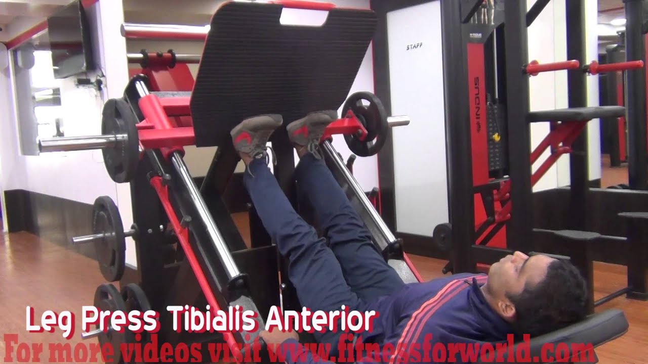 Leg Press Tibialis Anterior by expert Mayur Deshpande (ACSM & ACE ...