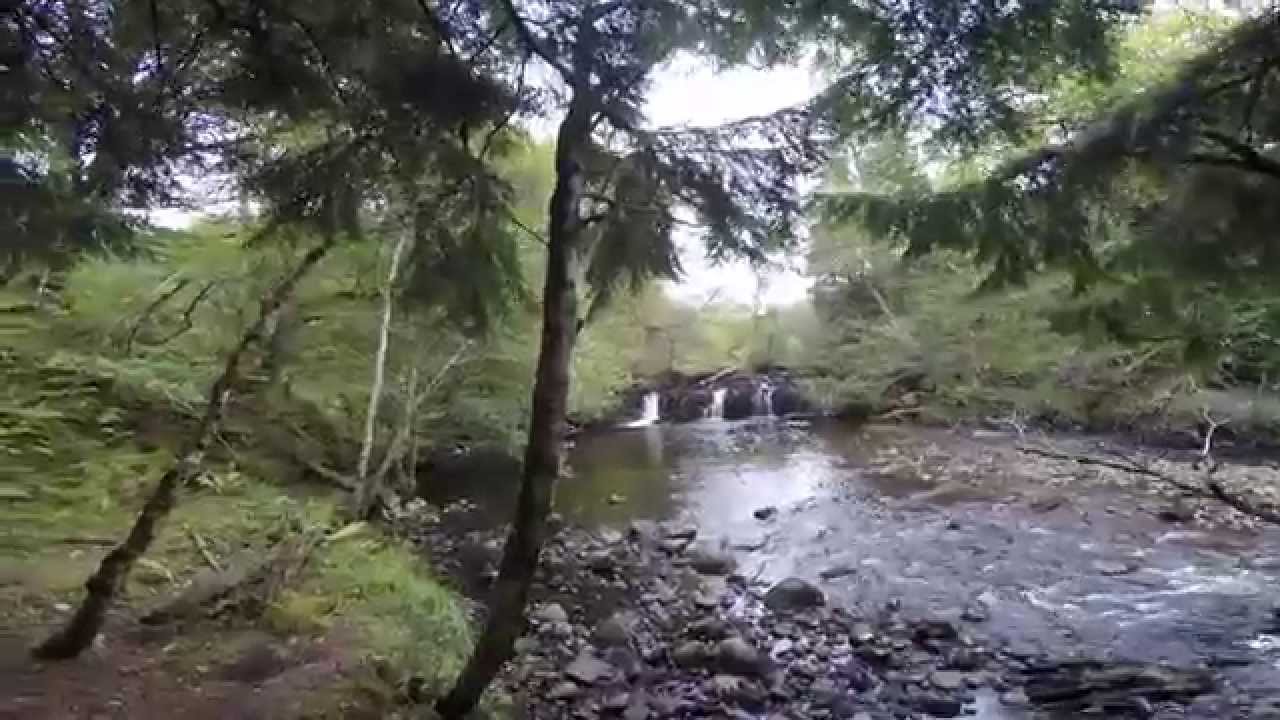 Atlantic Salmon Run Waterfall - Highland Titles Glencoe Wood Scotland ...