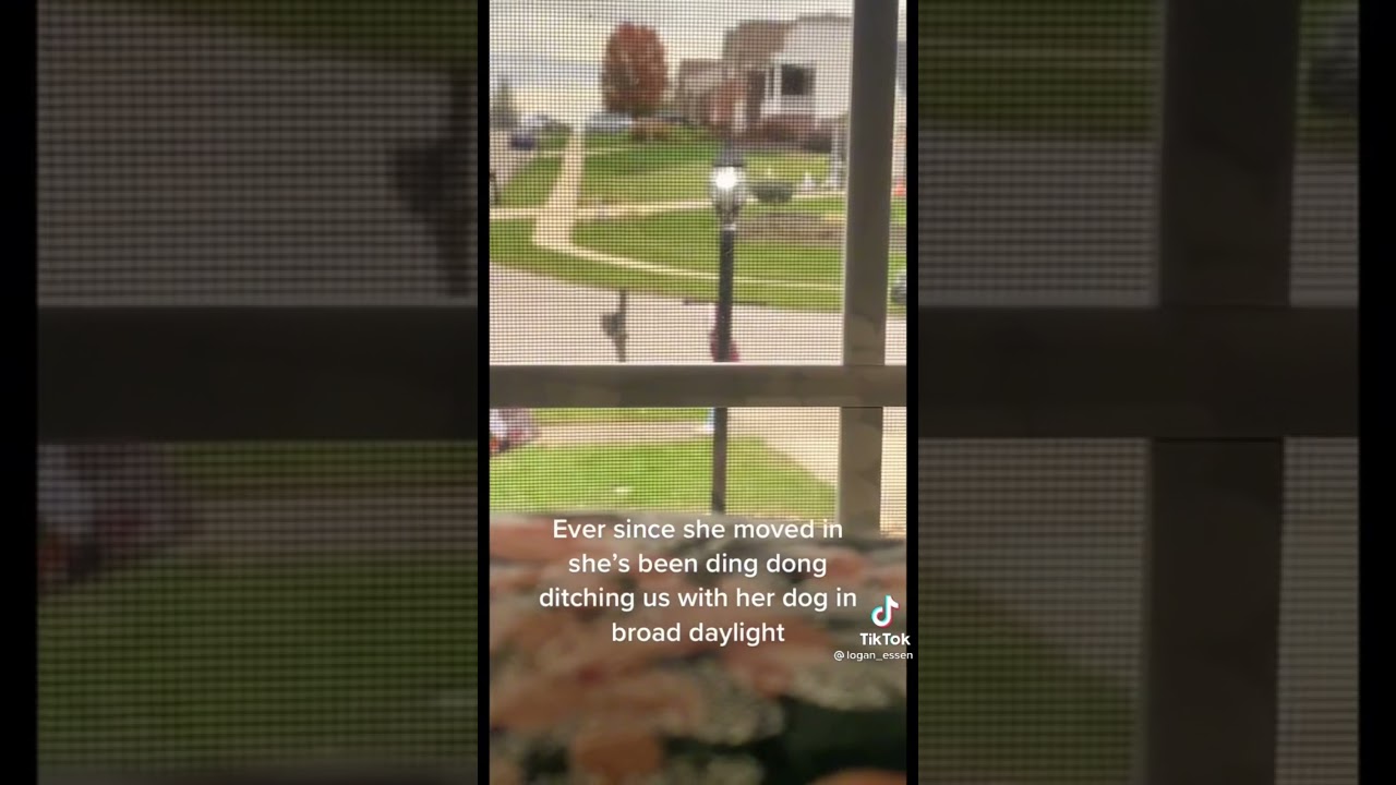 Catching a Ding-Dong Ditcher - YouTube