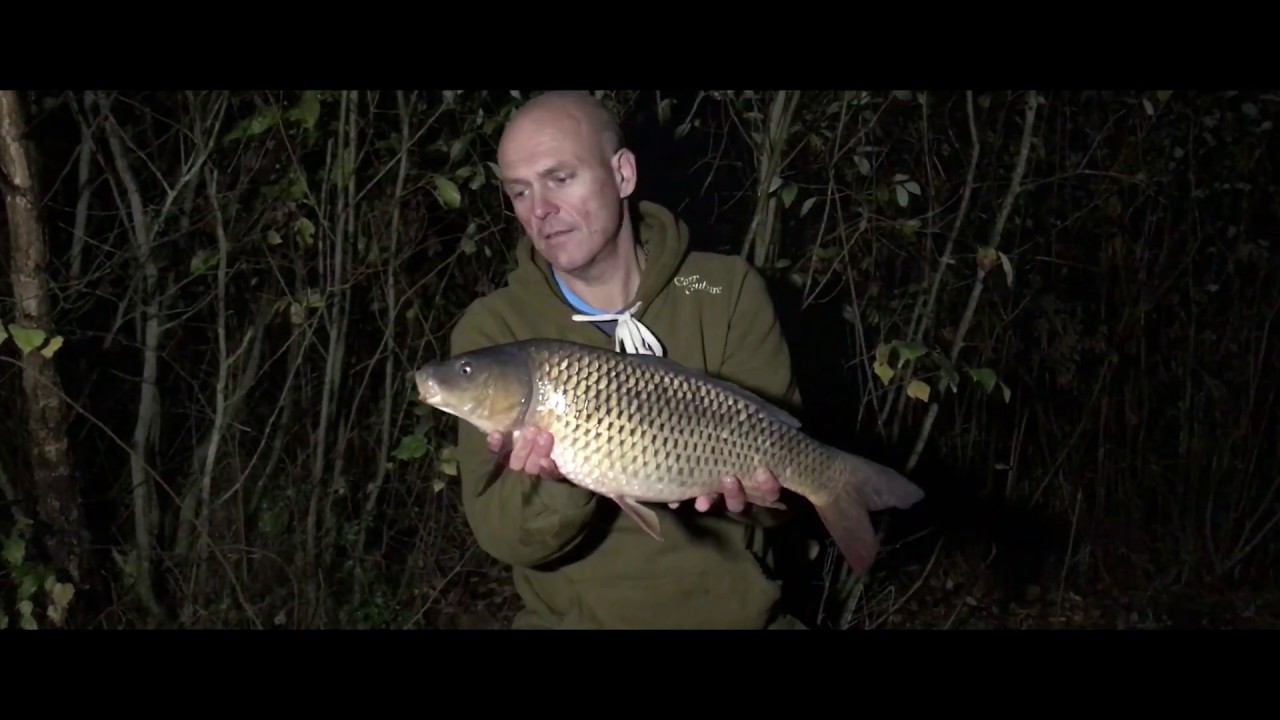 Carp Couture - Nite Shotz - LED Bivvy Light - YouTube