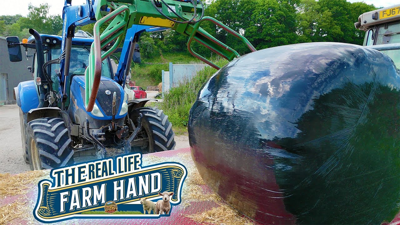"Cardio Day!" | The Real Life Farm Hand - (Week 8/Day 2) - YouTube