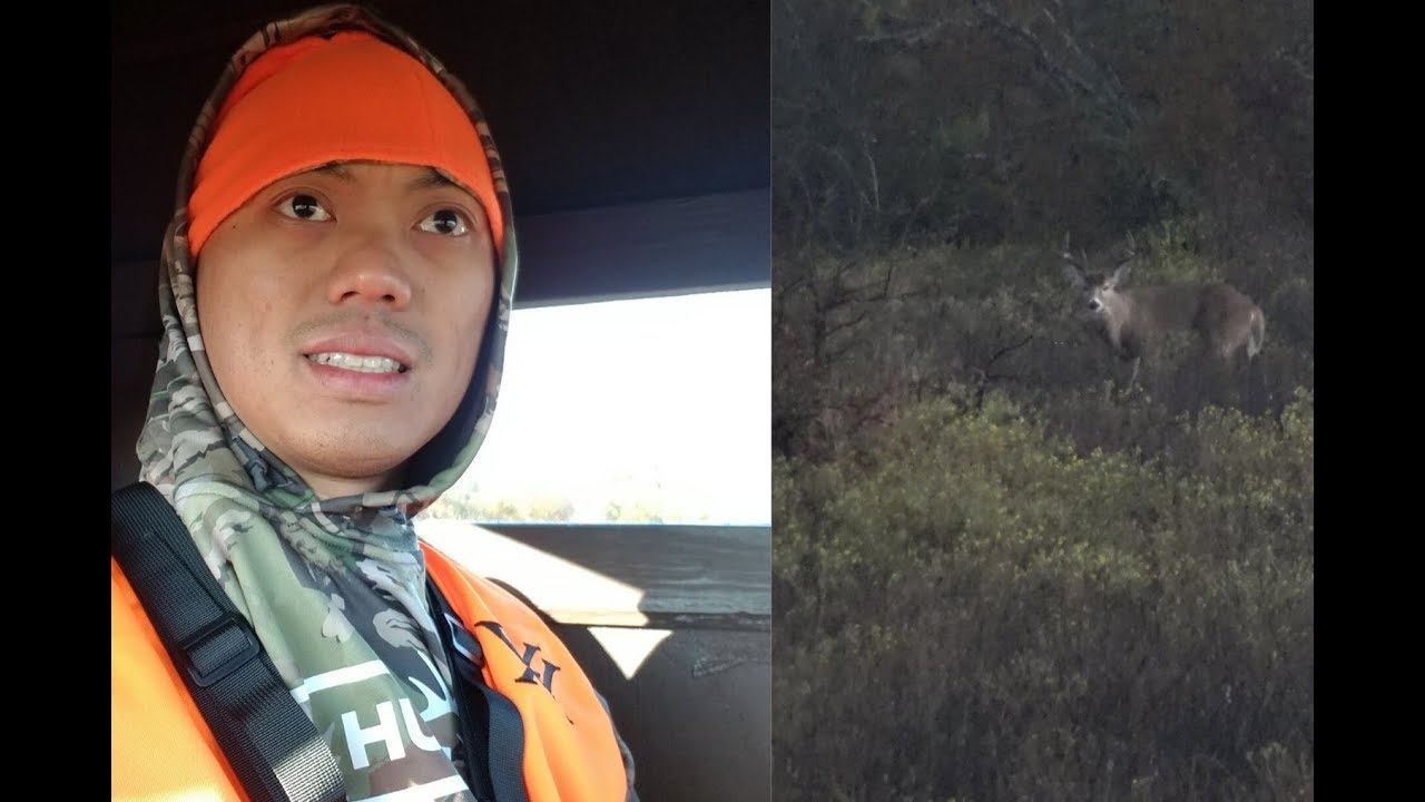 Deer Hunting | Fort Hood Guided Hunt - YouTube