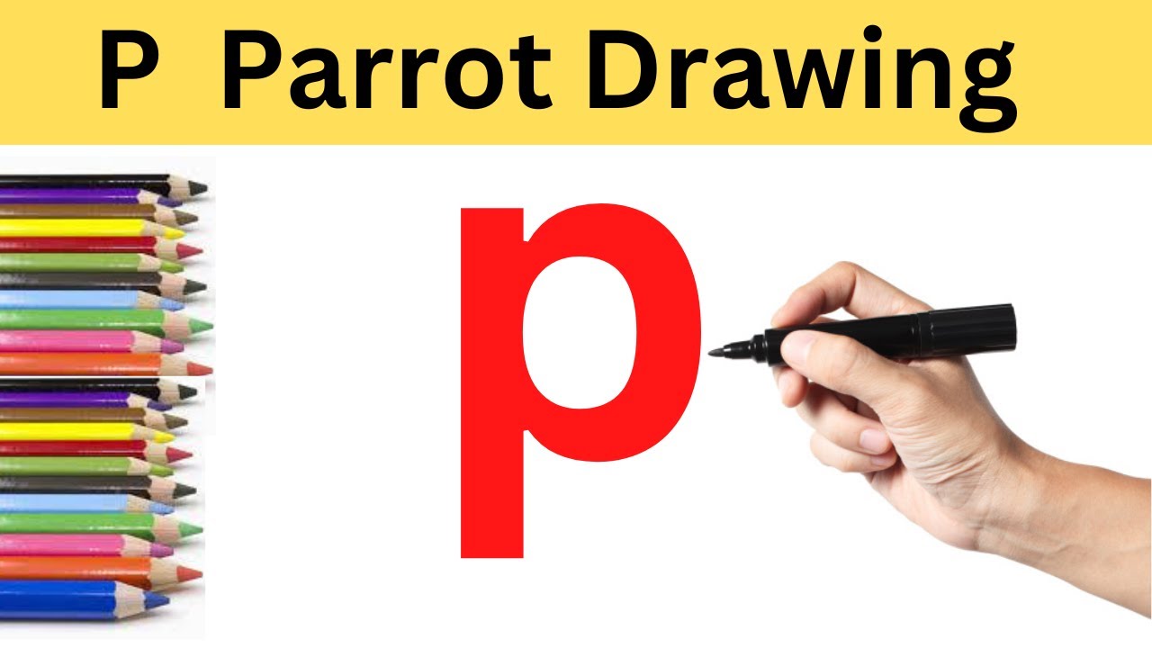 How to draw Parrot with letter P | Easy Parrot Bird Drawing | Letter ...