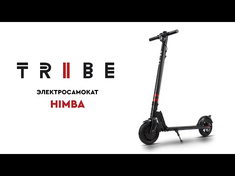 Обзор электросамоката TRIBE Himba
