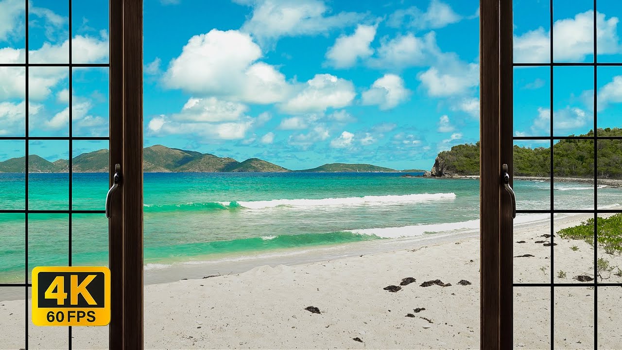 4K Tropical Beach window view in the Caribbean - Palm Trees, Ocean ...