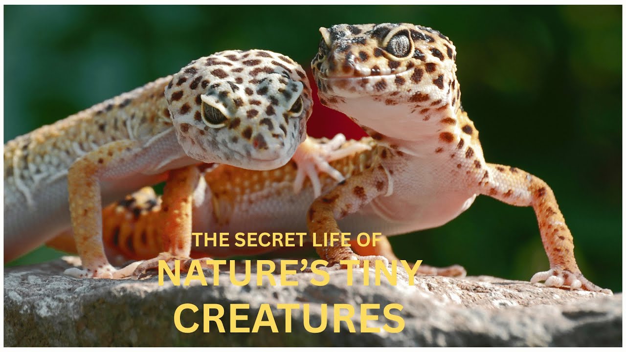 The Secret Life of Nature's Tiny Creatures - YouTube