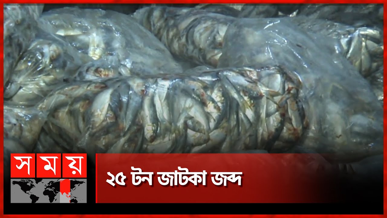 ২৫ টন জাটকা, বিতরণ হবে মাদ্রাসা-এতিমখানায় | Chattogram News | Jatka ...