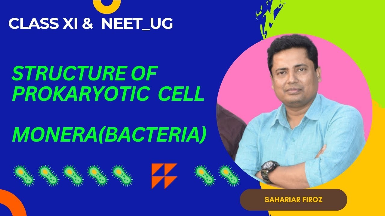 STRUCTURE OF PROKARYOTIC CELL# MONERA(BACTERIA) - YouTube