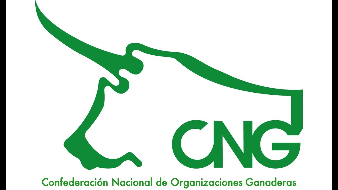 03 QUÉ HACEMOS EN LA CNOG - YouTube