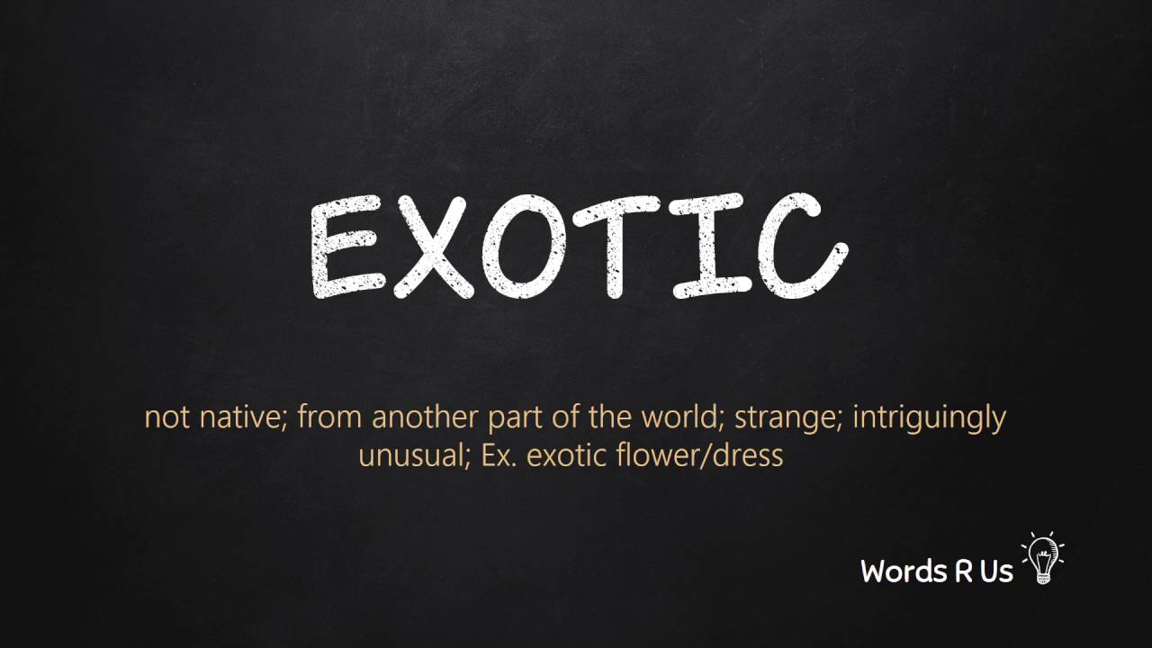 How To Pronounce EXOTIC In American English YouTube how-to-pronounce-exotic-in-american-english-youtube