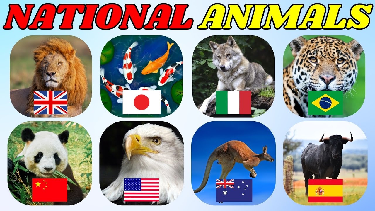 National Animals of the World 🦁🦅🐼 | Symbols of Countries and Their ...