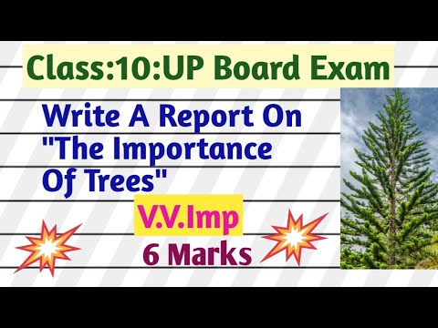 10th,/ Write Report On Importance Of Trees,/Article On Importance of ...