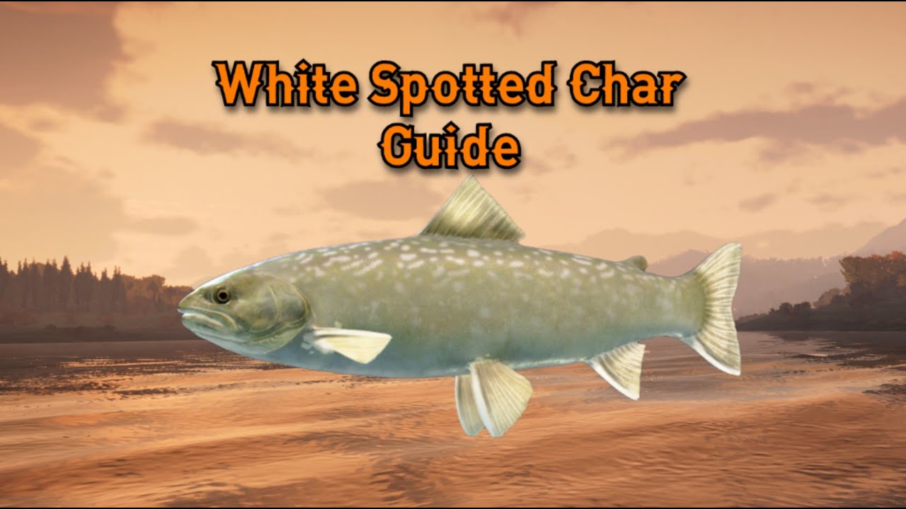 Your Guide to White Spotted Char! Quick and Simple Fishing Guide - Call ...