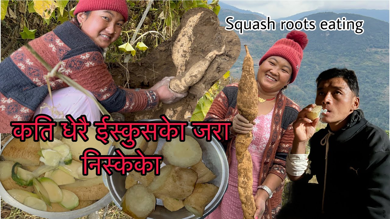Squash Roots Cooking and Eating@Sarmila - YouTube