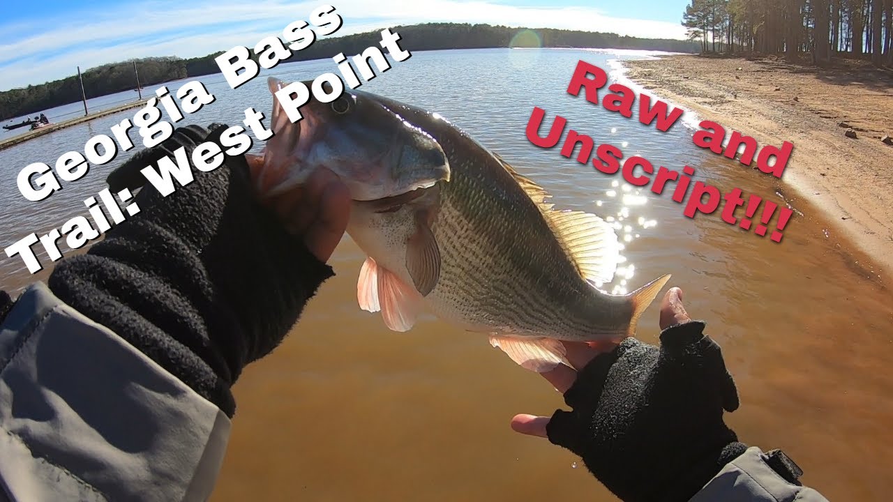 Georgia Bass Trail 2024 | Lake West Point (READ THE DESCRIPTION FIRST ...