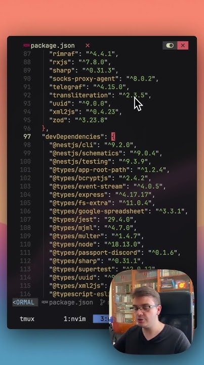 Packagejson Dependencies Devdependencies Optionaldependecies Peerdependencies Npm Youtube