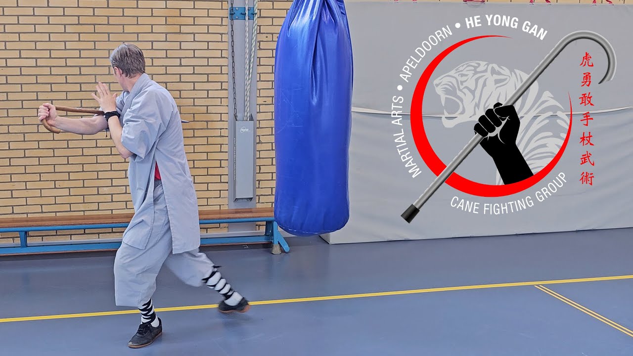 Cane Fighting: Strike - Strike - Thrust Backward - Punch - Martial Arts ...