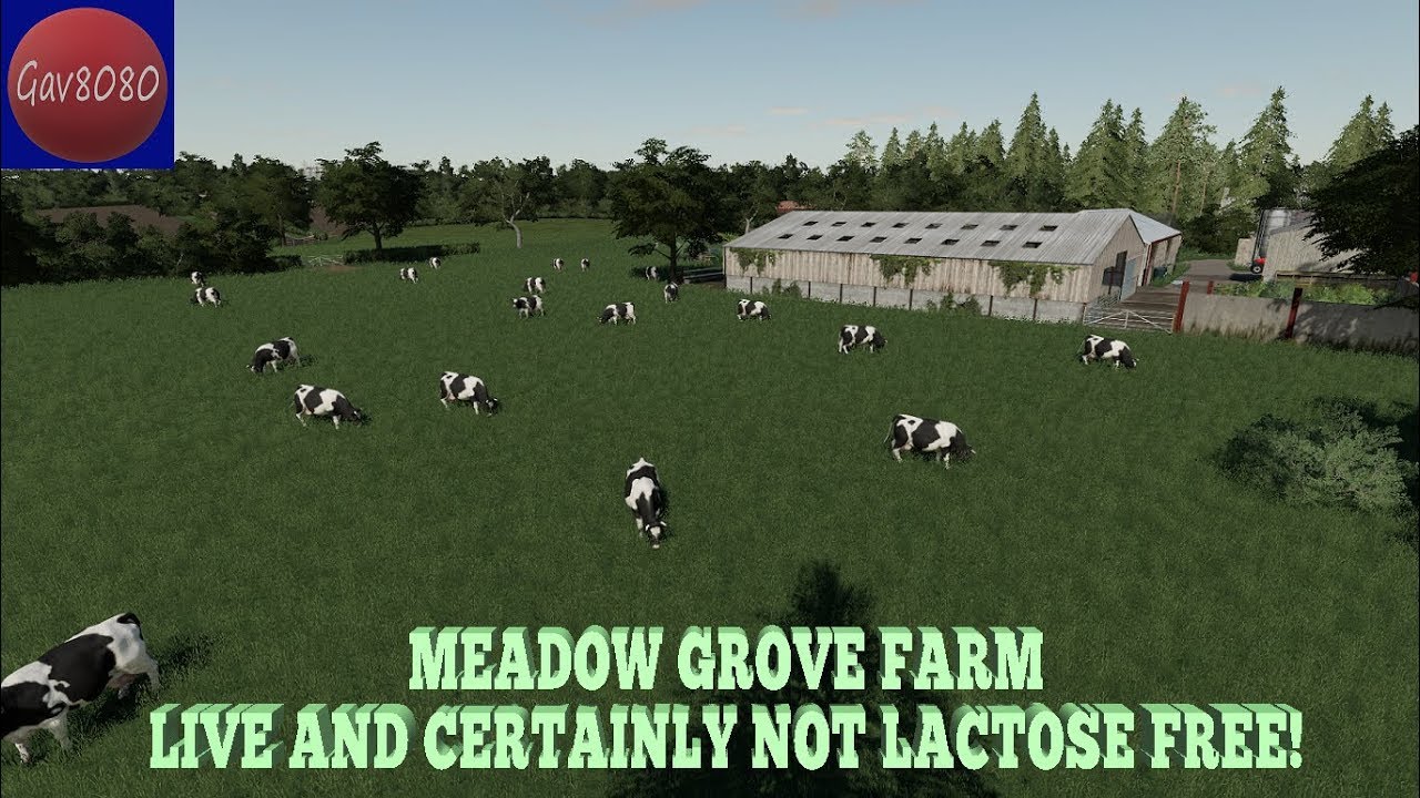 Meadow Grove Farm - Live and Certainly Not Lactose Free - YouTube