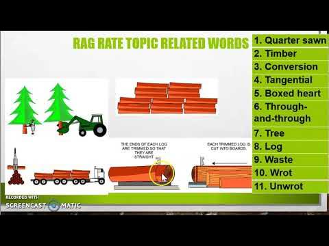 What is timber conversion? - YouTube