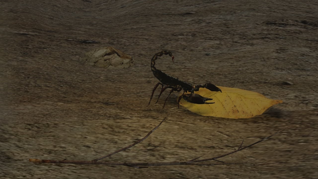 blender 2.82 scorpion walk cycle - YouTube
