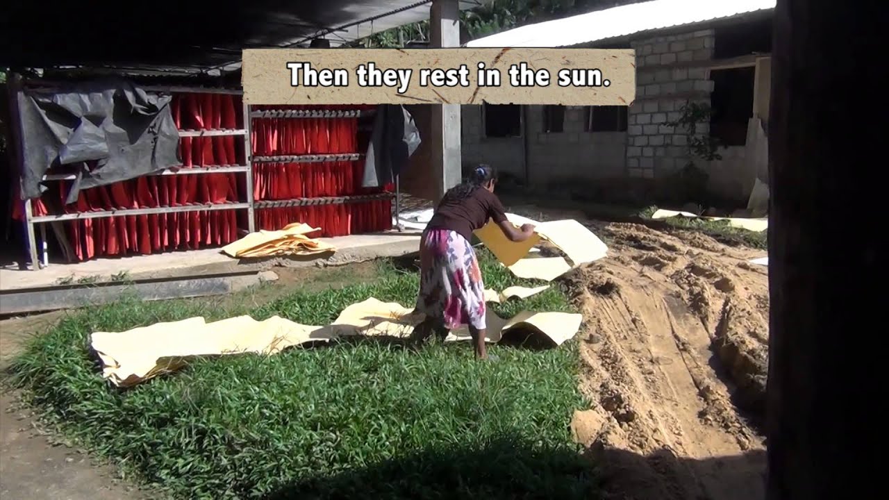 Transforming Elephant Poo Into Eco friendly Handmade Paper Products transforming-elephant-poo-into-eco-friendly-handmade-paper-products