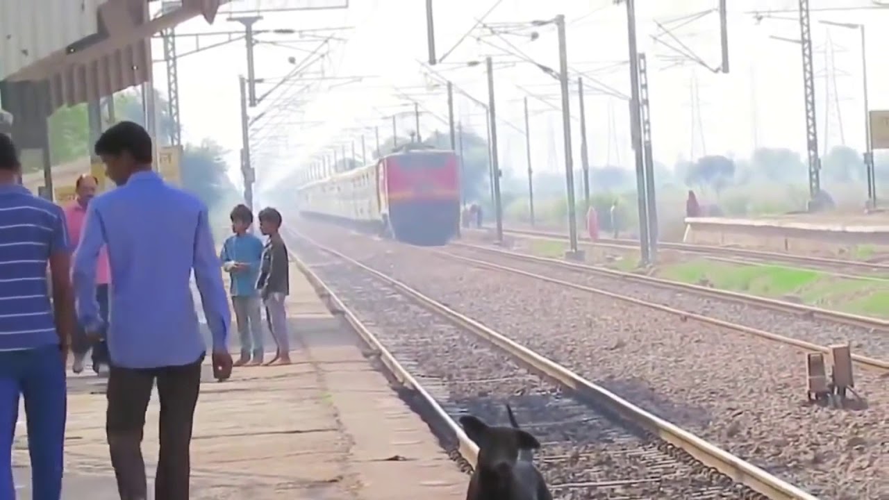 Des Trains percutent des Animaux / Trains collide with Animals - YouTube