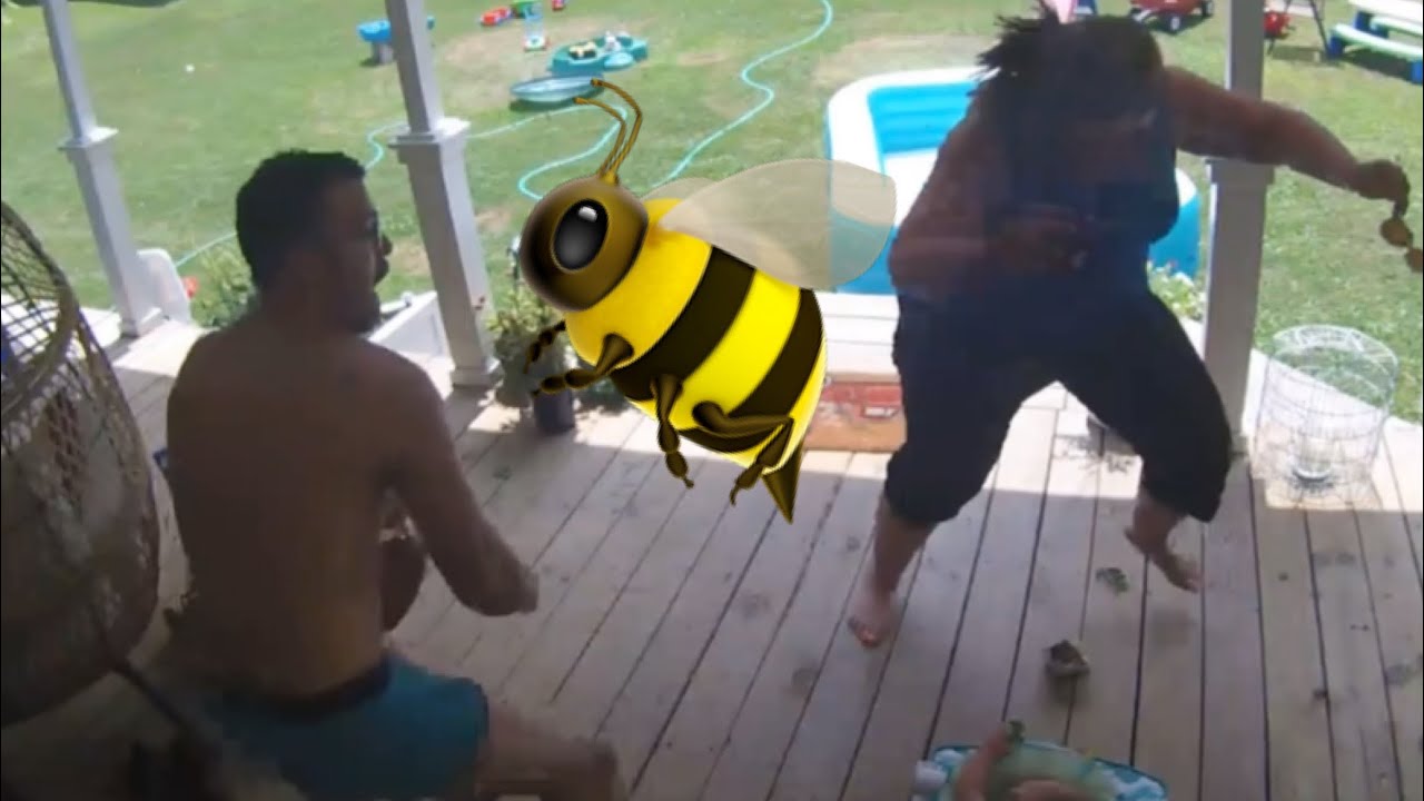 Funny Bee Sting 🐝 Youtube