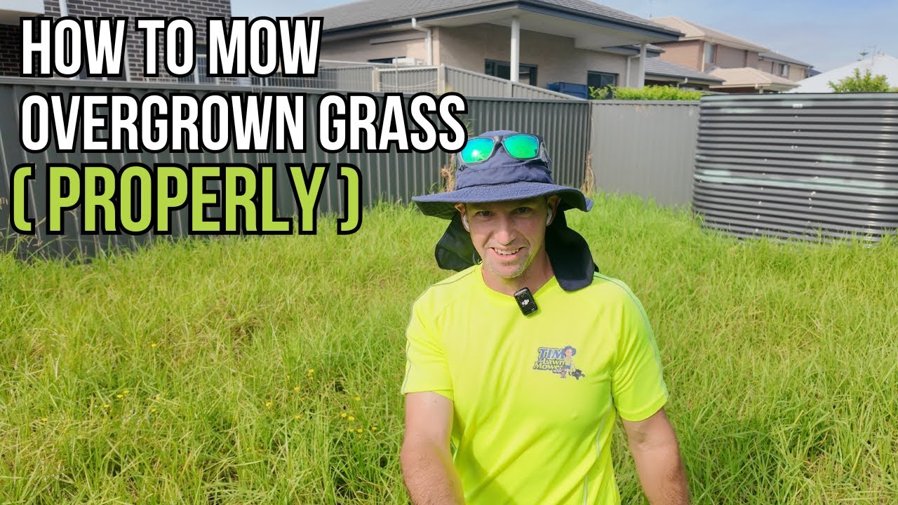 OVERGROWN Lawn - This is how it SHOULD be done... (If you actually want ...