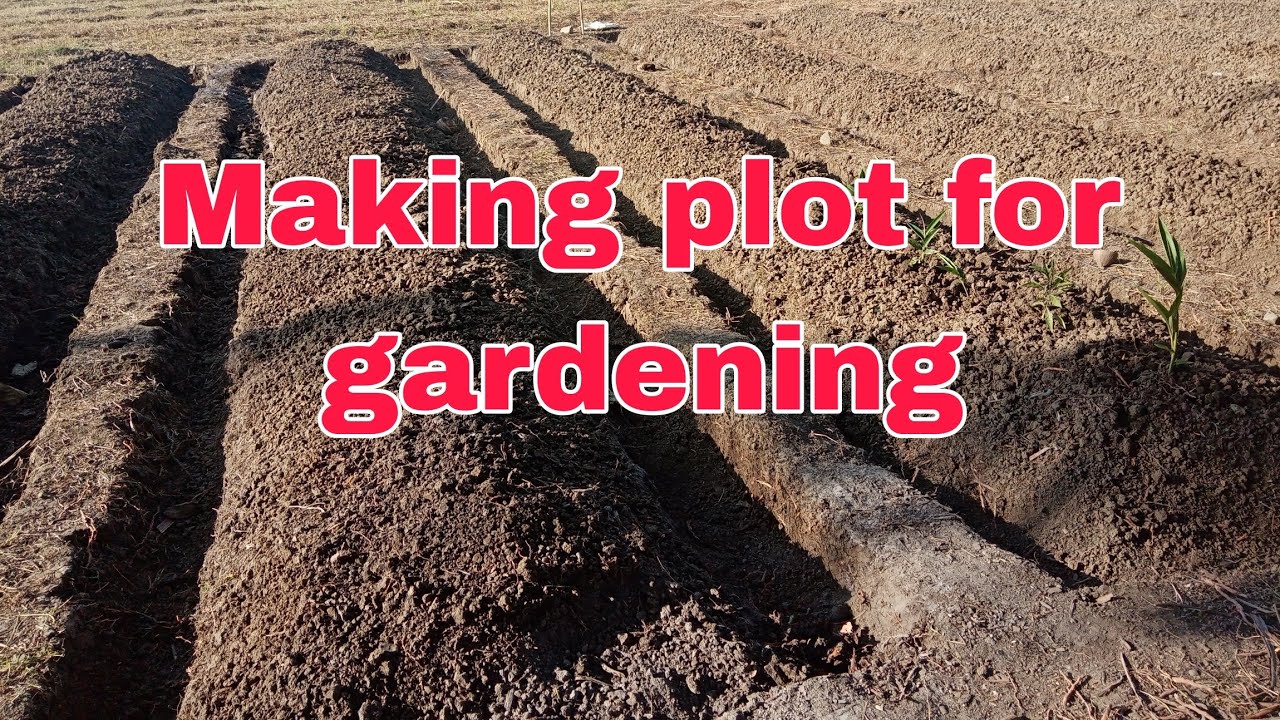 MAKING PLOT FOR GARDENING #highlightseveryone #everyone #labanlang # ...