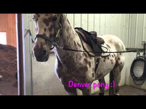 Barn Vlog- Proposal at the barn! - YouTube