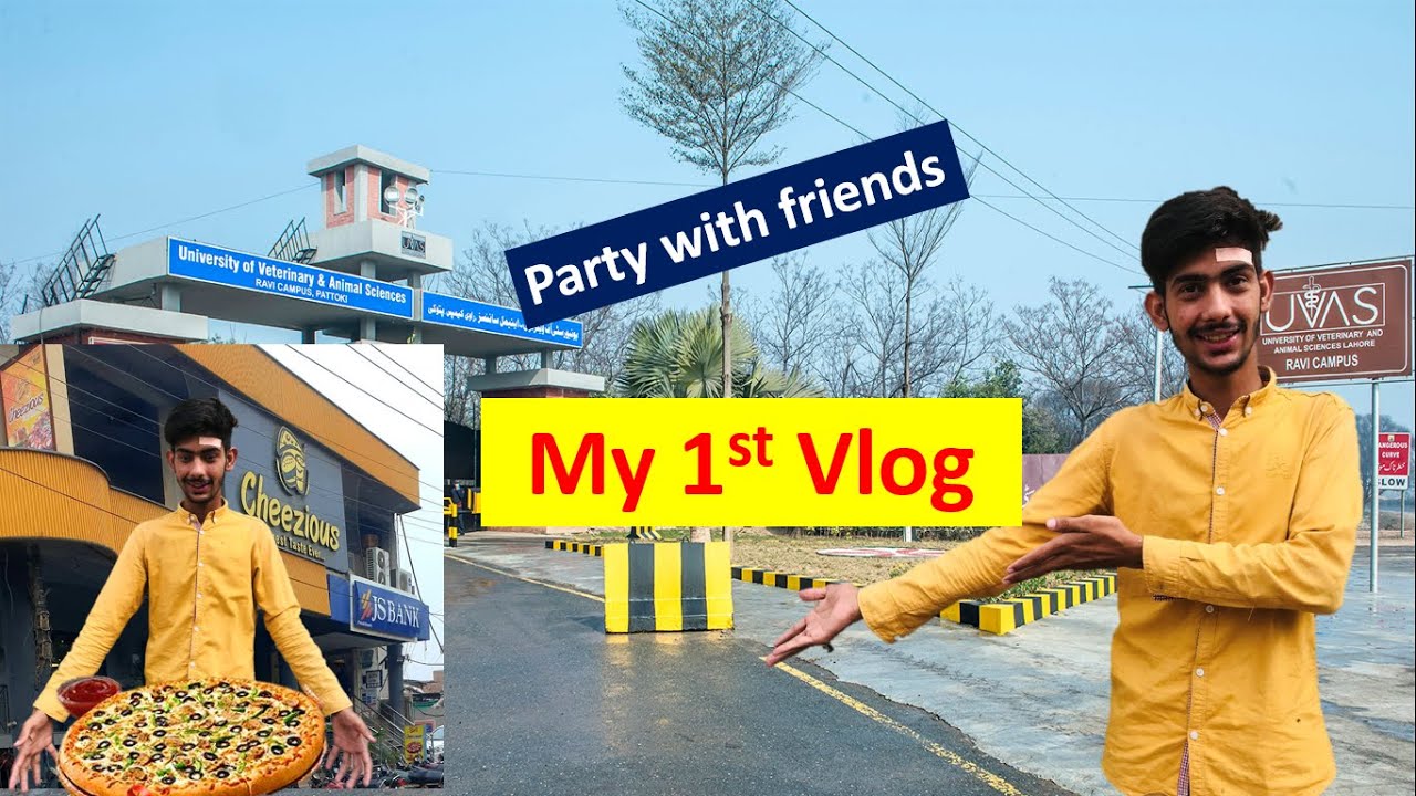 My First Vlog || University Vlog || Party with friends || Vlog panel ...