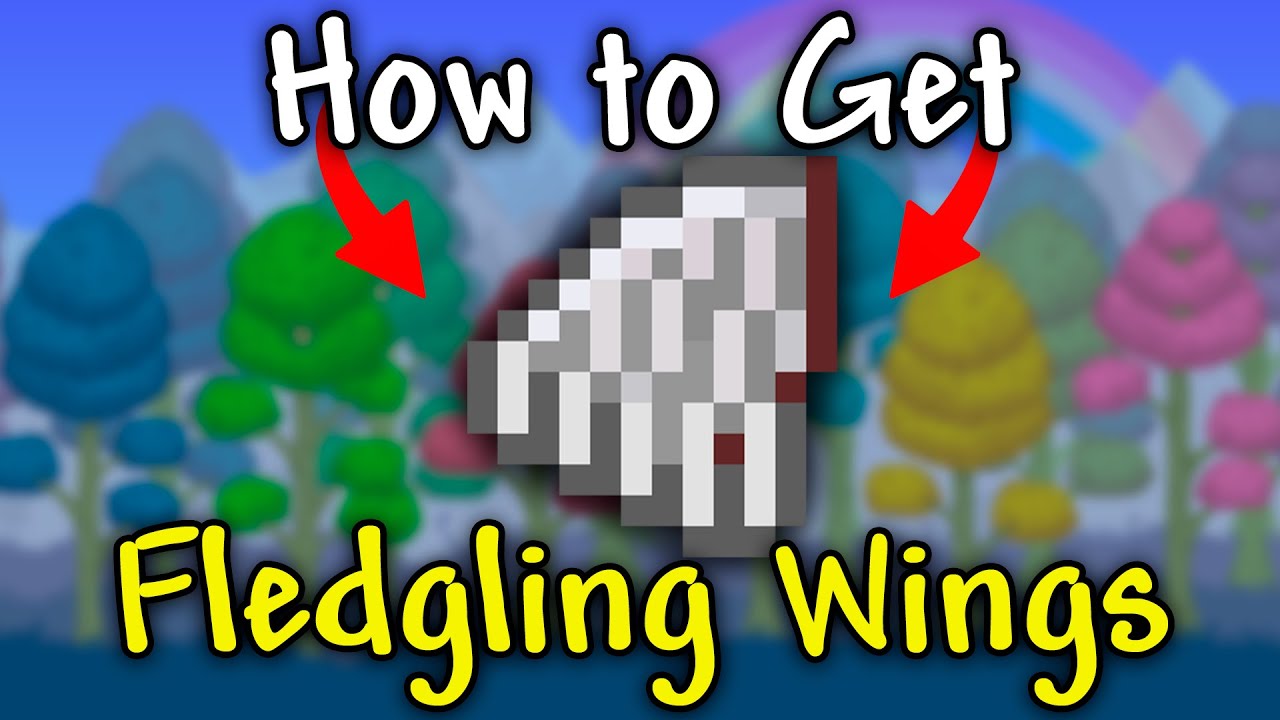 How to get Fledgling Wings in Terraria 1.4.4.9 (2025) | Fledgling Wings Seed - YouTube