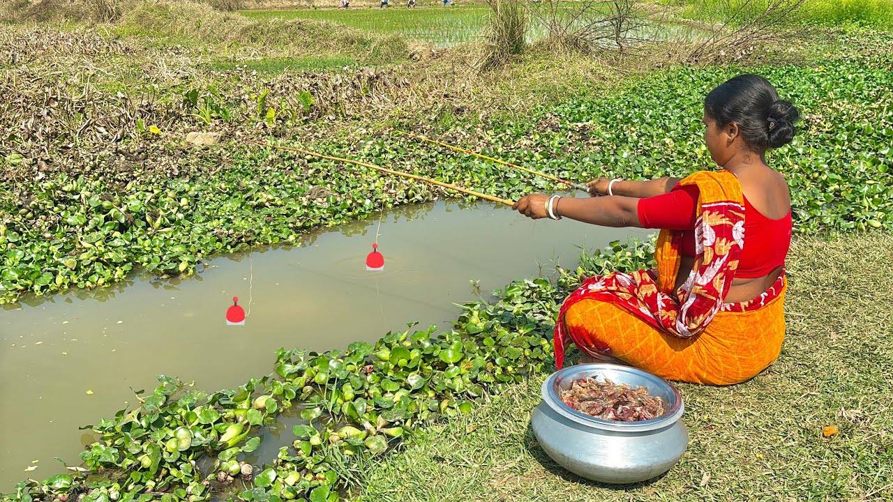 Fishing video || Beautiful lady is fishing in the canal and small 🍤 ...