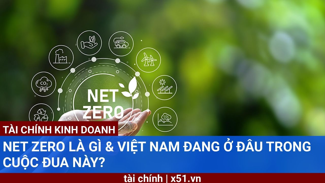 NET ZERO LÀ GÌ & VIỆT NAM ĐANG Ở ĐÂU TRONG CUỘC ĐUA NÀY? #netzero #việtnam #vietnam #carbon #co2 ...