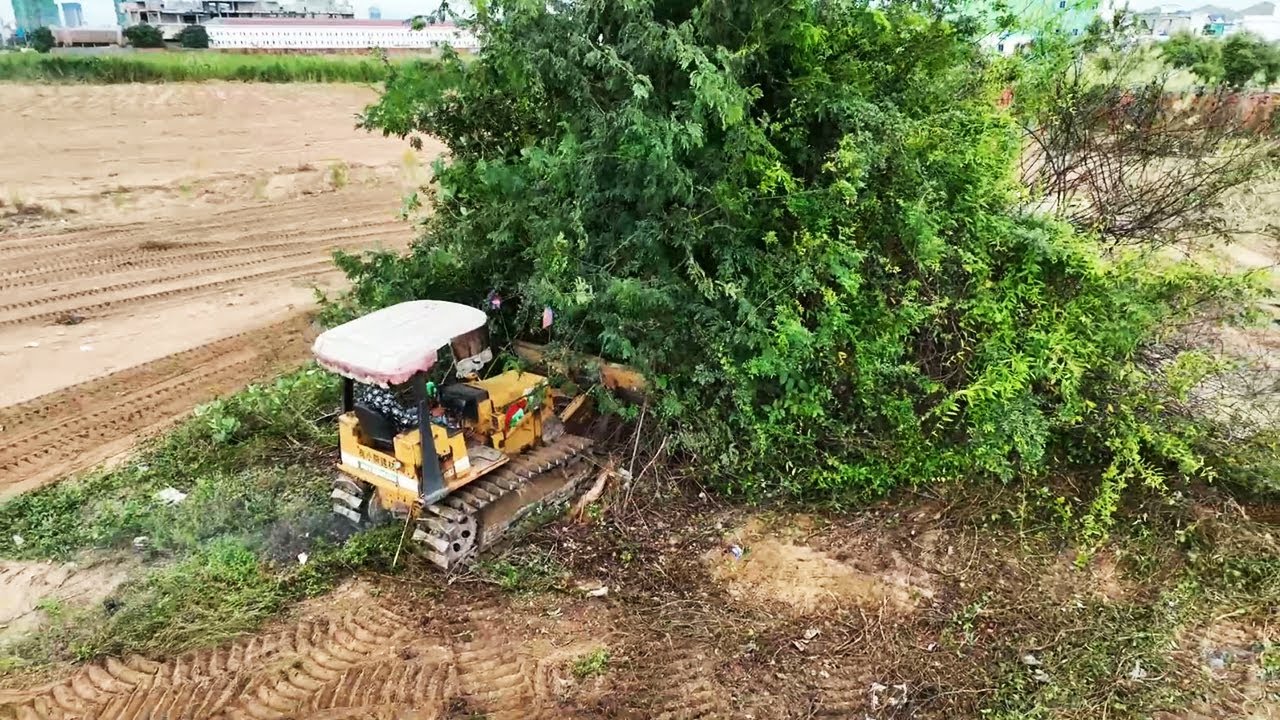 😱Wow!! Incredible Strong Power Small KOMATSU Pushing Clearing Trees And Land Clearing Brush ...