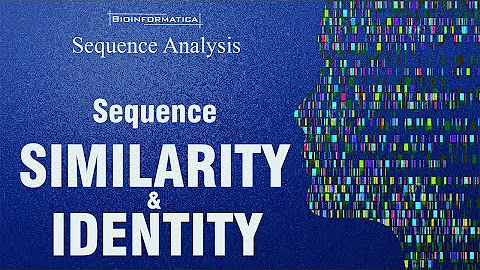 Bioinformatics - YouTube