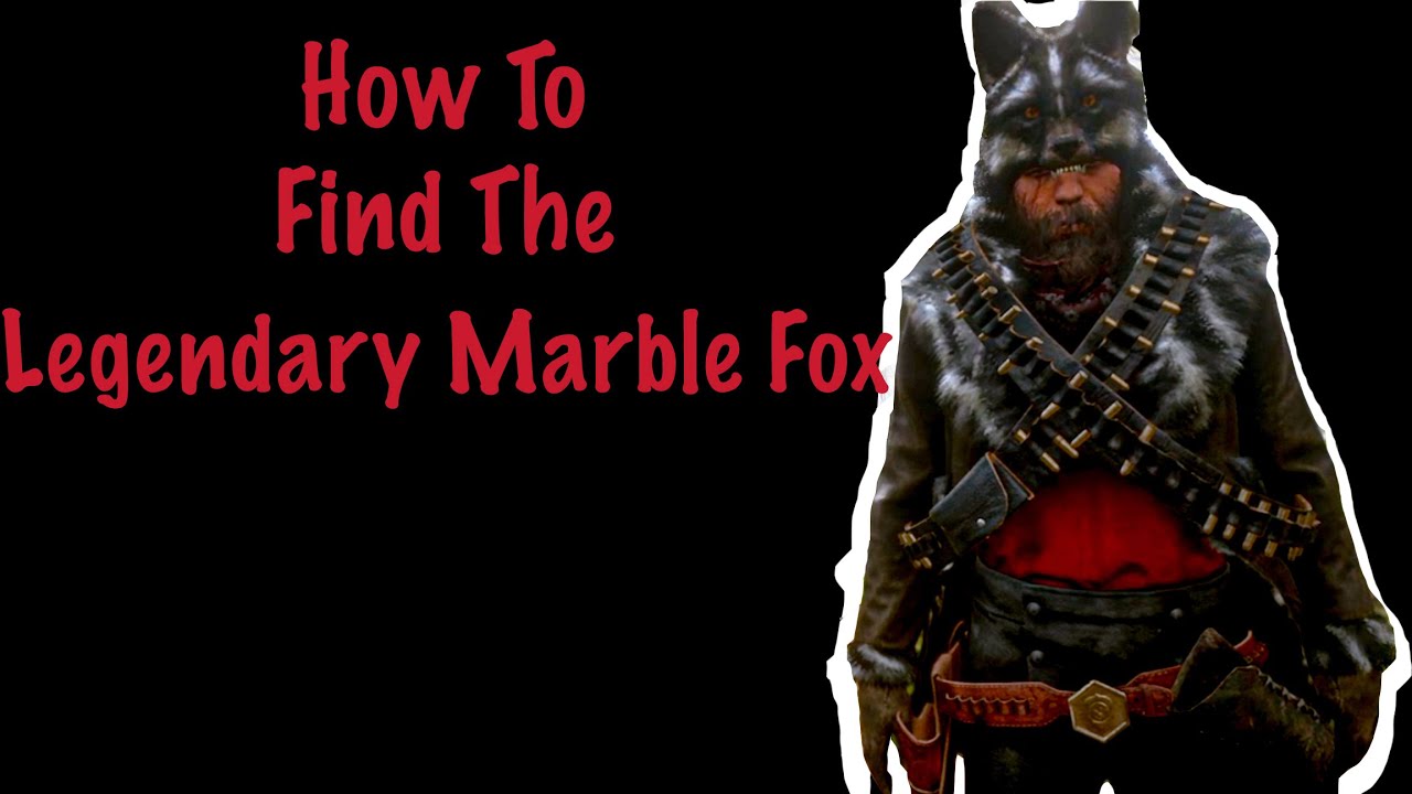 WHERE TO FIND THE LEGENDARY MARBLE FOX (RDO) - YouTube