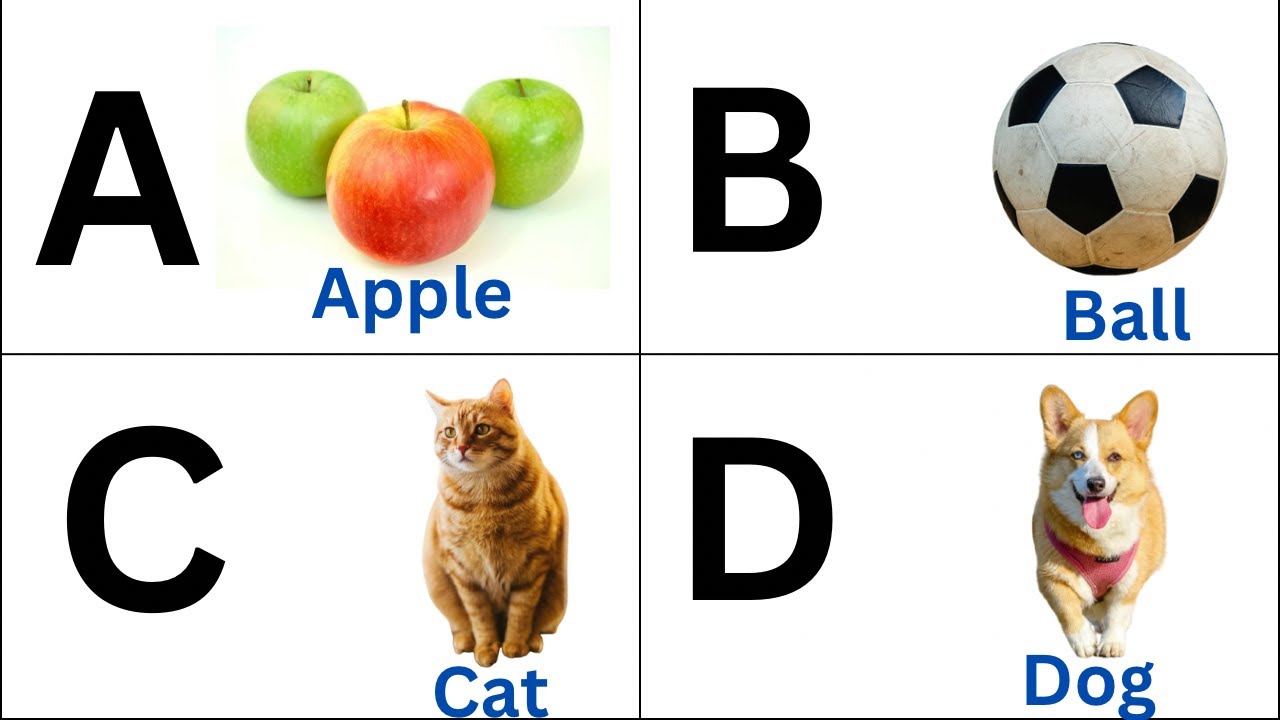 English Alphabet ABCD || Learn English Alphabet with pictures || A for ...
