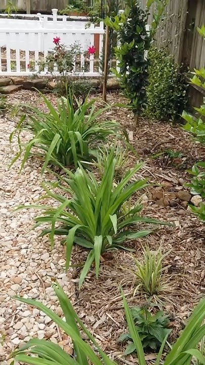 April Garden Tour, Spring is in Bloom!//Tika’s Garden 🌻🐝 #gardening # ...