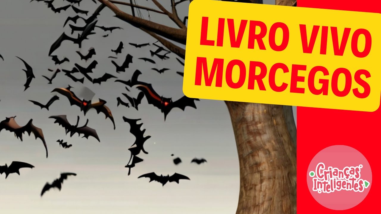 MORCEGOS - LIVRO VIVO - CRIANÇAS INTELIGENTES - YouTube